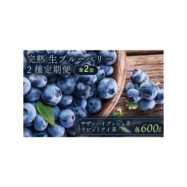 ■ 容量　化粧箱入りブルーベリー　・4月〜5月：サザンハイブッシュ系 600g　・7月：ラビットアイ系 600g　　【賞味期限】　収穫から1週間　お届け後すぐが食べごろです。冷蔵保存の上、1週間以内にお召し上がりください。　冷凍される場合は...