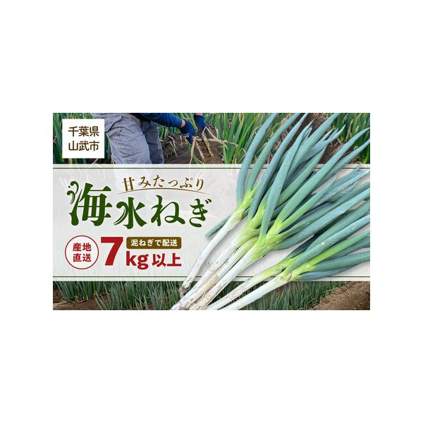 ■ 容量　海水ネギ（７kg以上）泥ネギ■ 配送について　配送不可地域：沖縄・離島　タイプ：【常温】