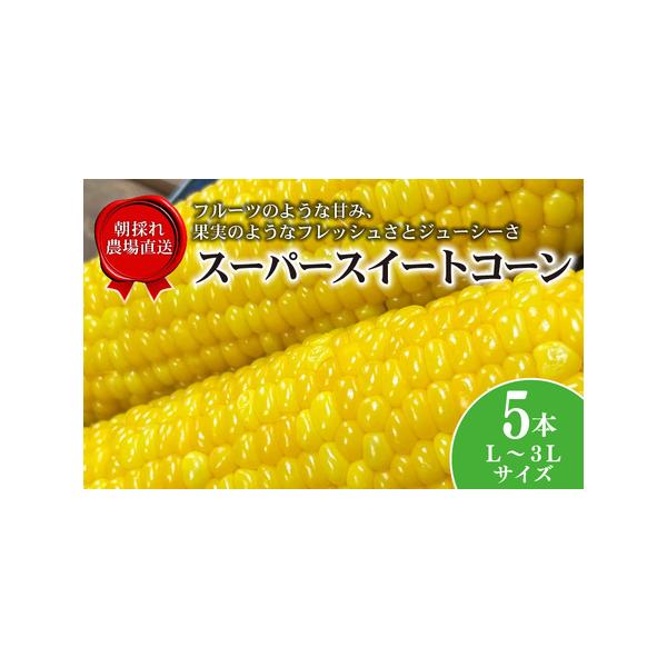 ■ 容量　■5本 (L~3Lサイズ)■ 配送について　2026年6月20日-2026年7月20日　　■3日以上不在になるご予定がありましたら、必ずご記入ください。　ご不在が続いたことでとうもろこしが傷んだ場合、代品等の対応はいたしかねます。...