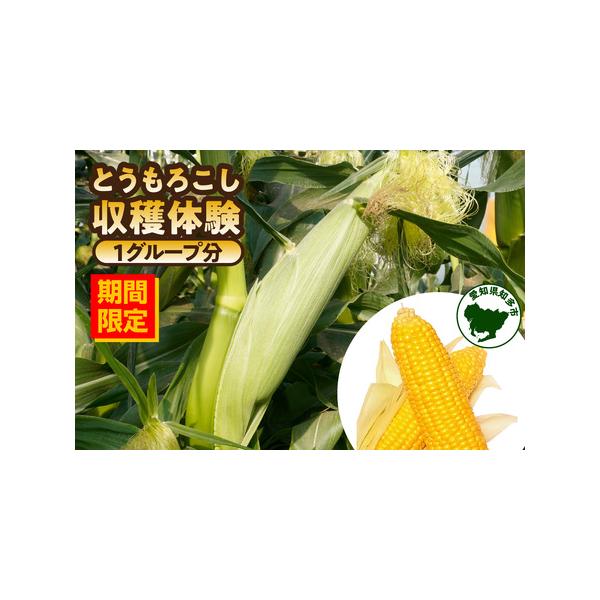 ■ 容量　とうもろこし収穫体験（1グループ分）　※１グループ１セット（10人まで）　※10人を超える人数での参加を希望の場合は事前に農園へご連絡ください。　　◆一連の流れ　(1)ご寄附の前に必ず『じゃらん』から体験の予約をお願いいたします。...