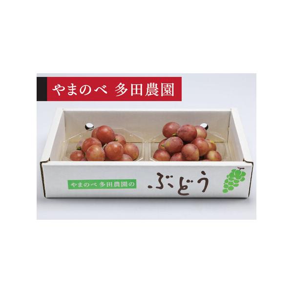 ■ 容量　250g×2パック　タイプ：【常温】