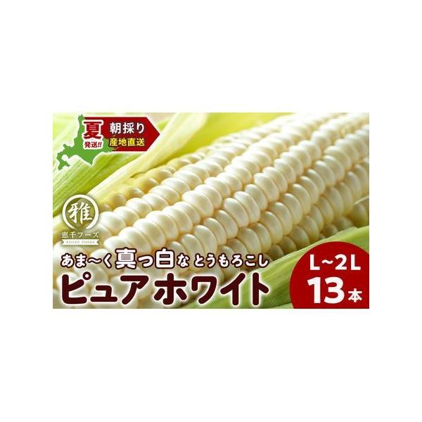 ■ 容量　白とうもろこし（ピュアホワイト L〜2L ）13本　　消費期限 到着後はなるべくお早めにお召し上がりください。　　アレルギー 特定原材料7品目および特定原材料に準ずる21品目は使用していません　タイプ：【冷蔵】