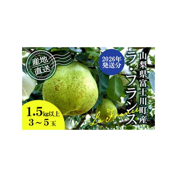 ■ 容量　ラ・フランス　３玉〜５玉(約1.5kg)　タイプ：【冷蔵】