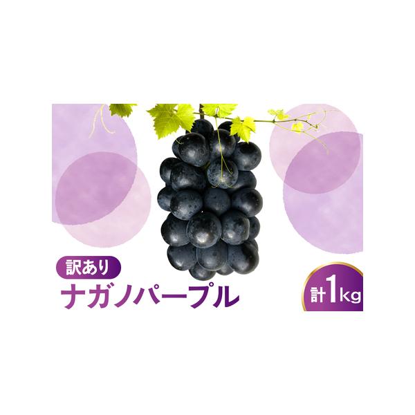 ■ 容量　約1kg（複数房でお届け）　※重さは目安となりますので、ご了承ください。　　【消費期限】　到着後5日程度　※なるべくお早めにお召し上がりください。■ 配送について　2026年9月上旬?10月上旬頃発送予定　※生育状況によって前後す...