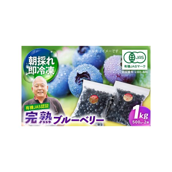 ■ 容量　ブルーベリー500g×2袋■ 配送について　100セットなくなり次第終了　タイプ：【冷凍】