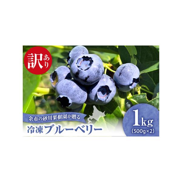 ■ 容量　訳あり冷凍ブルーベリー500g×2■ 配送について　ご入金確認後14日以内　タイプ：【冷凍】