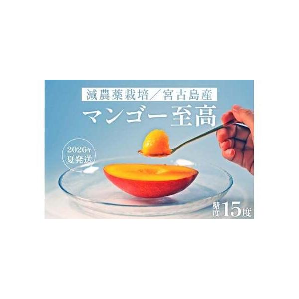 ■ 容量　マンゴー至高（しこう）【贈答用】　・優品　約2キロ（4〜6玉）　・糖度　15度以上　・減農薬栽培マンゴー■ 配送について　2026年6月中旬頃〜ご予約順に発送予定です。　※天候によっては前後する場合があります。　タイプ：【常温】