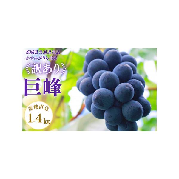 ■ 容量　1箱（1.4kg）■ 配送について　80サイズ　ヤマト運輸　タイプ：【冷蔵】