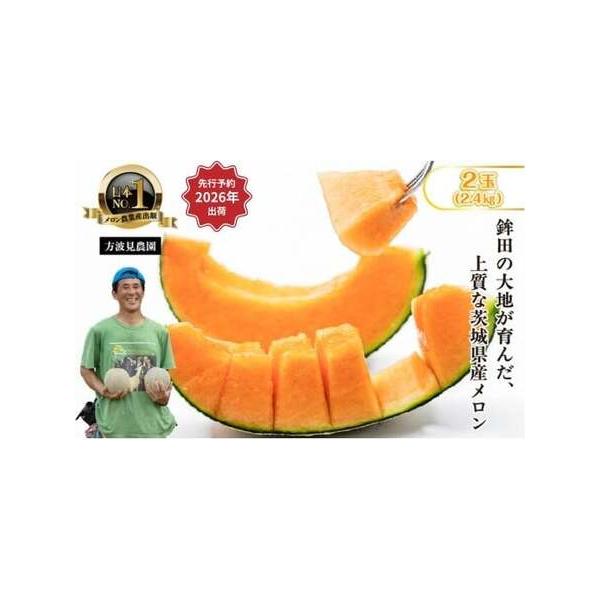 ■ 容量　1個1.2kg以上×2個■ 配送について　寄附納入確認後、2026年4月下旬〜6月中旬に発送します。　※生産の都合で前後する場合があります。　タイプ：【常温】