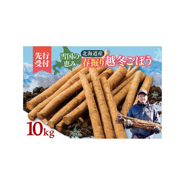 ■ 容量　越冬ごぼう 10kg 1箱■ 配送について　2026年4月頃より順次発送いたします。　※天候や収穫状況により多少前後する可能性がございます。　タイプ：【冷蔵】