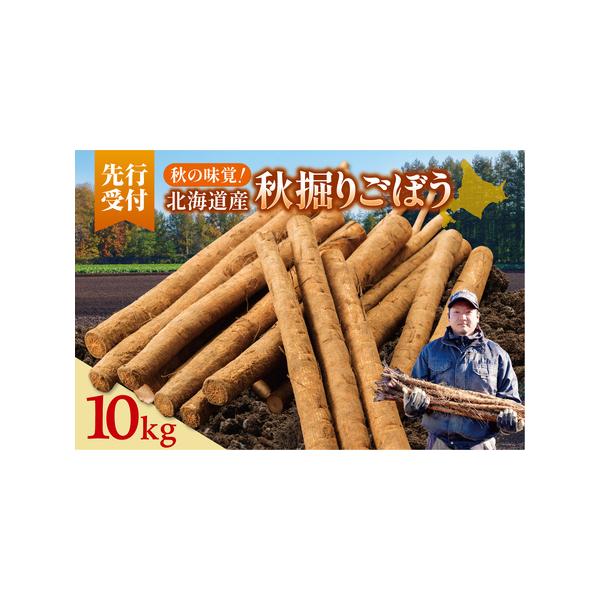 ■ 容量　秋堀りごぼう 10kg 1箱■ 配送について　2026年10月頃より順次発送いたします。　※天候や収穫状況により多少前後する可能性がございます。　タイプ：【常温】
