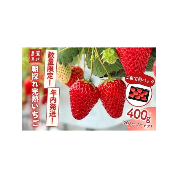 ■ 容量　ご自宅用完熟いちご　200g×2パック　　かおり野,よつぼし,紅ほっぺ,スターナイト,ほしうららの5種類の中から、収穫時に一番味がのっているいちごをお届けします。　　※写真はイメージです。　　冷蔵約5日　生鮮食品ですので、お早めに...