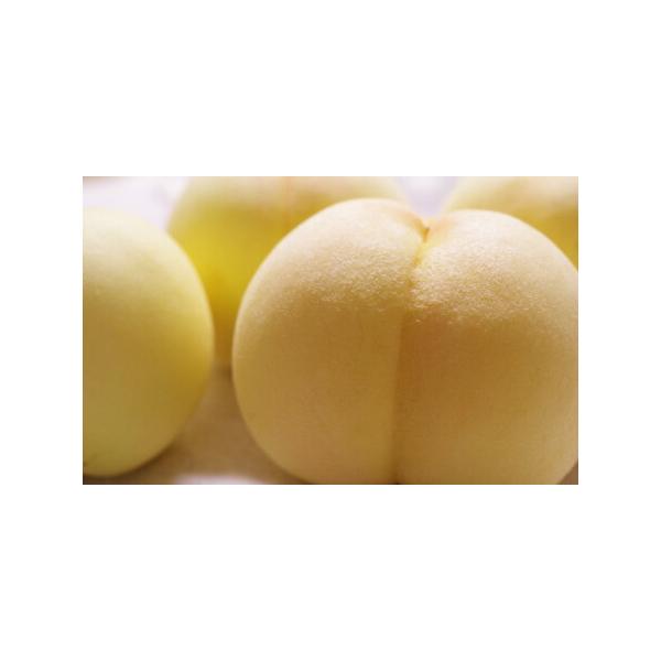 ■ 容量　約3.6kg■ 配送について　2026年7月上旬〜7月下旬まで順次発送予定　※天候や発送状況により多少前後する場合がございますので、予めご了承ください。　タイプ：【冷蔵】