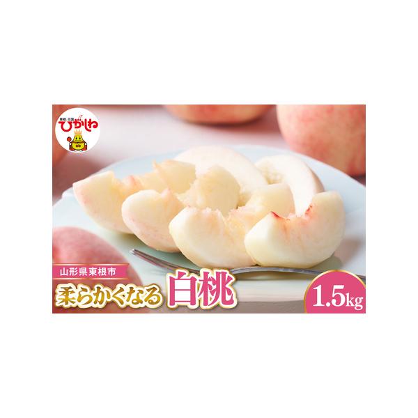■ 容量　■内容量　白桃（柔らかめ）約1.5kg　※品種はご指定できません。　※品種：あかつき、川中島白桃、陽夏妃、ゆうぞら、かぐや、伊達白桃、あおぞら娘等、やや硬め(※)、ジューシーな白桃をお届けします。　※やや硬めの桃ですが、お好みで常...