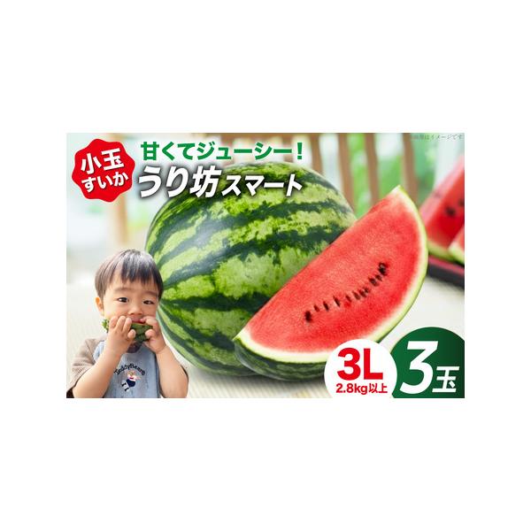 ■ 容量　■内容量　うり坊スマート 3Lサイズ（2.8kg〜）×3玉/箱　約10kg　　■原産地　長崎県島原市　　■賞味期限　発送から一週間以内■ 配送について　2026年5月後半〜2026年6月前半において順次発送　※申込期日：2026年...