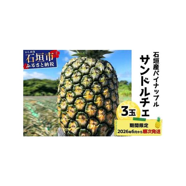 ■ 容量　3玉 (約3kg)　タイプ：【常温】