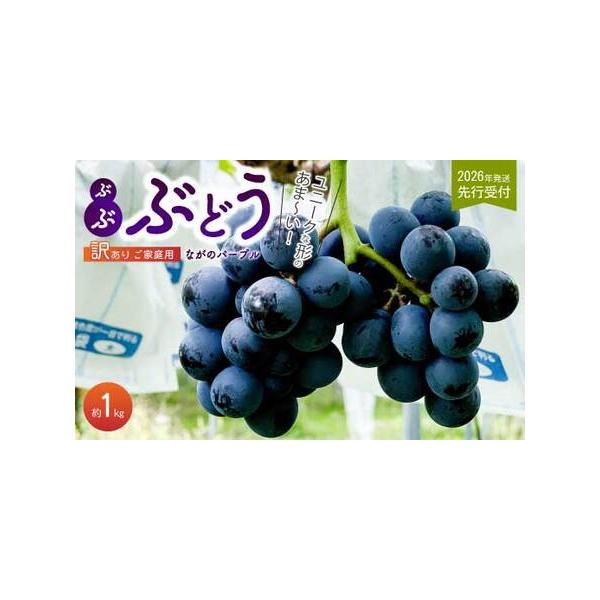 ■ 容量　【容量】　ぶぶナガノパープル 1kg　　【賞味期限】　お早めにお召し上がりください。■ 配送について　※発送予定は2026年8月〜9月です。　※天候や収穫状況によって前後する場合がございます。　タイプ：【常温】