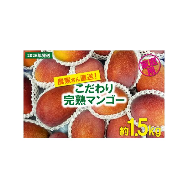 ■ 容量　アップルマンゴー　ご家庭用　約1.5kg（3〜6玉）　（白箱）　タイプ：【冷蔵】