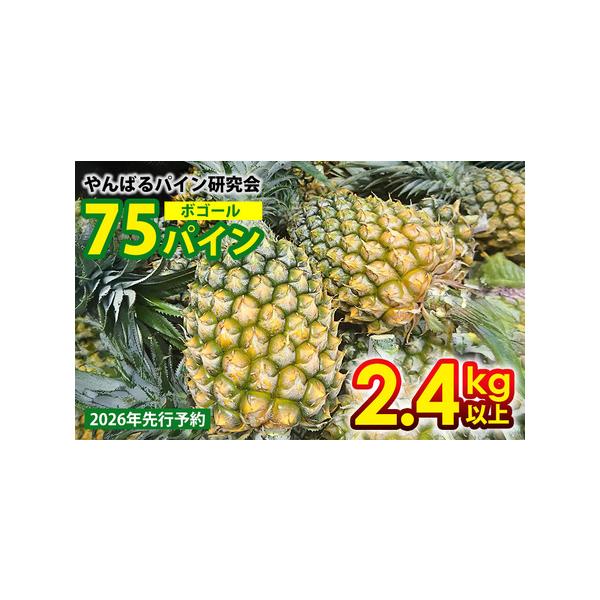 ■ 容量　７５パイン（ボゴール）2.4kg以上■ 配送について　2026年7月下旬〜8月中旬　タイプ：【冷蔵】