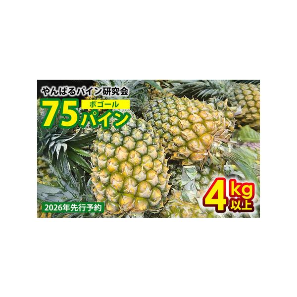 ■ 容量　７５パイン（ボゴール）4kg以上■ 配送について　2026年7月下旬〜8月中旬　タイプ：【冷蔵】