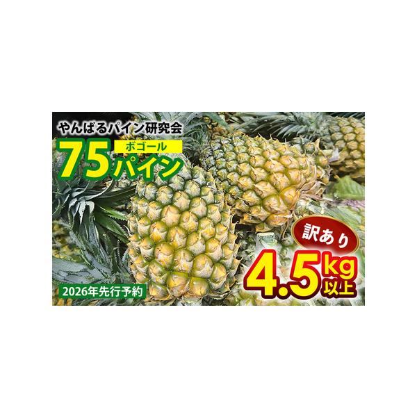 ■ 容量　【訳あり】７５パイン（ボゴール）4.5kg以上■ 配送について　2026年7月下旬〜8月中旬　タイプ：【冷蔵】
