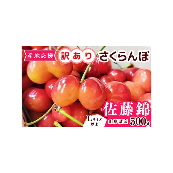 ■ 容量　【容量】　2026年産（令和8年産）　山形県寒河江市産　※令和8年産の先行予約品です。　　令和7年 高温障害による双子果入り　さくらんぼ産地応援キャンペーン　【訳あり】さくらんぼ　佐藤錦 L以上 丸秀品（バラ詰）500g　　※発送...