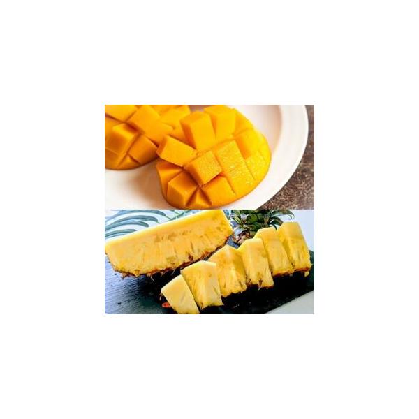 ■ 容量　※上記に記載■ 配送について　【1回目】発送月の前月20日までのお支払いで発送月上旬より順次発送【2回目以降】発送月上旬より順次発送　タイプ：【冷蔵】【定期】