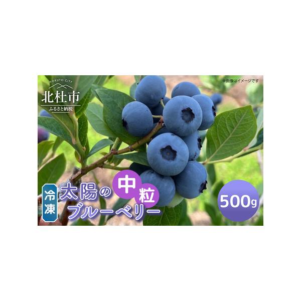 ■ 容量　【中粒】ブルーベリー（冷凍）500g　　【消費期限】　お受取り後は冷凍庫で保管し、開封後はお早めにお召しあがりください。　　【申込可能な期間】　〜2026年5月中旬頃まで　※在庫がなくなり次第終了　　【関連ワード】　ブルーベリー ...