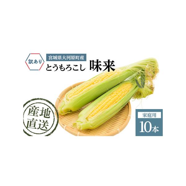 ■ 容量　とうもろこし 味来 家庭用 10本 訳アリ　■ 配送について　2026年7月中旬から8月下旬まで　　タイプ：【冷蔵】