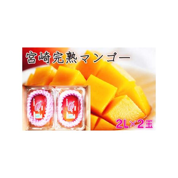 ■ 容量　みやざき完熟マンゴー2Lサイズ（350g〜459g）×2個（パック）　タイプ：【冷蔵】