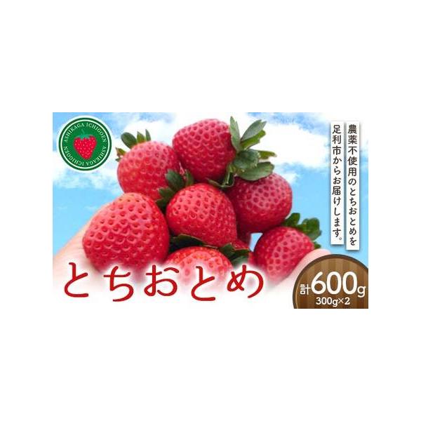 ■ 容量　300g×2パック=600g■ 配送について　2026年1月5日〜2026年4月30日　タイプ：【冷蔵】