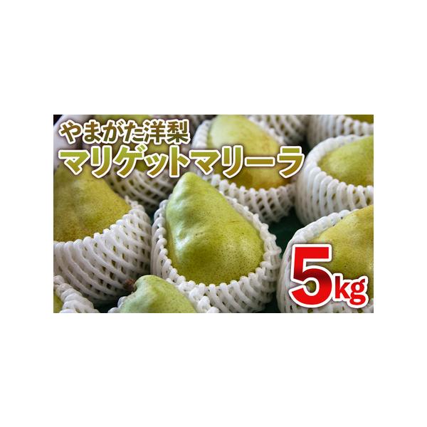 ■ 容量　マリゲットマリーラ 5kg 秀 (10〜14玉)　※洋梨は追熟して柔らかくなりますので食べ頃を明記の上お届けいたします。■ 配送について　【申込期日】2026年09月05日まで　【発送期間】2026年09月15日頃〜2026年10...