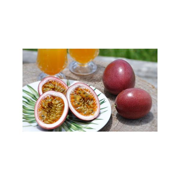 ■ 容量　パッションフルーツ 化粧箱１５個入り（Ｍ玉）×２箱　食品の梱包方法：化粧箱入り・贈答用　旬の時期：6月上中旬〜７月中旬頃　保存方法：涼しい一定温度のところで常温保存　産地（都道府県）：国産（鹿児島県　奄美大島）　販売者：たけはら農...