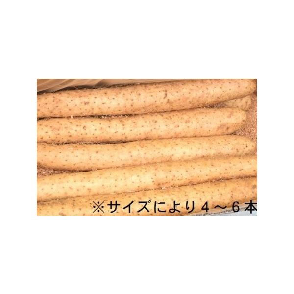 ■ 容量　約5kg（1本あたりの重さにより4〜6本）■ 配送について　※夏場はクール便で発送いたします。　タイプ：【常温】【冷蔵】