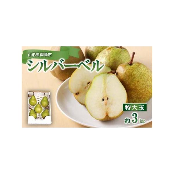 ■ 容量　西洋梨 シルバーベル　容量：約3kg（4玉〜5玉）　等級：特秀　サイズ：特大玉（1玉750g以上）　■ 配送について　令和7年12月中旬〜順次発送　※生育状況により発送時期が前後する場合がございます。　※常温で発送します。　　タイ...