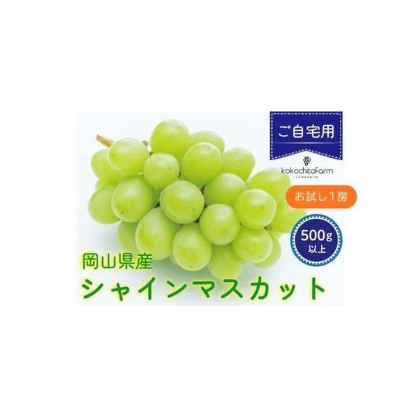 ■ 容量　【容量】　真庭市産 　シャインマスカット　ご自宅用　1房　500g以上　　【賞味期限】　到着後は冷蔵庫で保管し、お早目にお召し上がりください。■ 配送について　9月中旬〜11月中旬(天候により前後する場合があります)　お申し込み順...