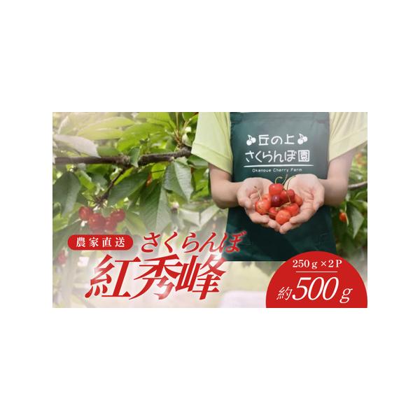 ■ 容量　さくらんぼ『紅秀峰』[250g×2パック]■ 配送について　※その年の気候により配送時期に変動がある可能性がございます。　※収穫量不足により、お届けできない事態が発生した場合は品種の変更や翌年度への繰り越し等お願いする場合がござい...