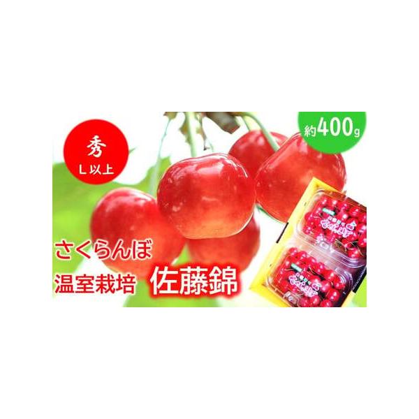 ■ 容量　温室栽培さくらんぼ「佐藤錦」　等級：秀　容量：約400g　サイズ：L以上　■ 配送について　令和8年5月下旬〜6月中旬ごろに順次発送予定　※生育状況により発送時期が前後する場合がございますので、お届け日の指定はできません。　※冷蔵...