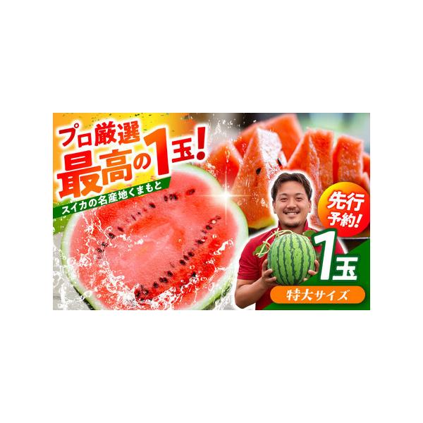■ 容量　特大サイズ 1玉（約11kg以上）　※サイズはお選びいただけません。■ 配送について　ご入金確認後、【2026年】4月末〜6月中旬にかけて順次発送いたします。　　＊本返礼品は先行受付品のため、発送期間を必ずご確認の上お申込みくださ...