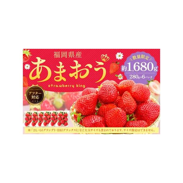 ■ 容量　約280g×6パック（計約1.68kg）　※「2L・G（グランデ）・DX（デラックス）」など大玉サイズも含まれております。サイズ指定はできません。■ 配送について　2026年4月上旬〜4月下旬発送予定　タイプ：【冷蔵】