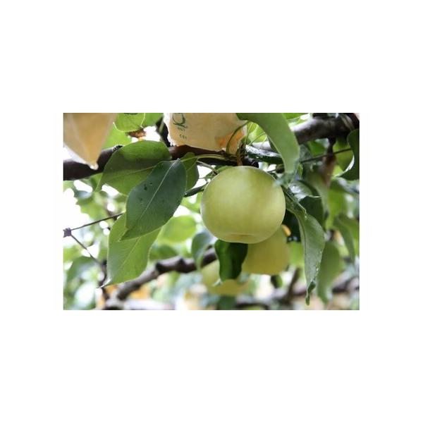 ■ 容量　5キロ　タイプ：【常温】