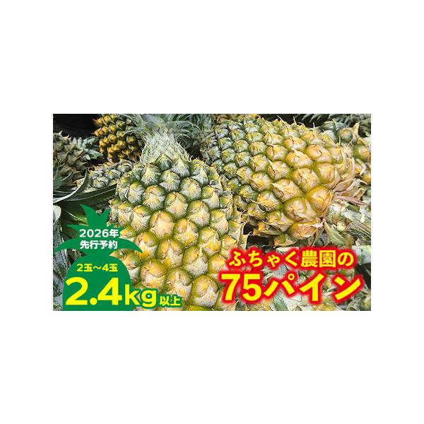 ■ 容量　75パイン(スナックパイン）2.4kg以上　※2玉〜4玉■ 配送について　2026年7月下旬〜8月中旬　タイプ：【冷蔵】