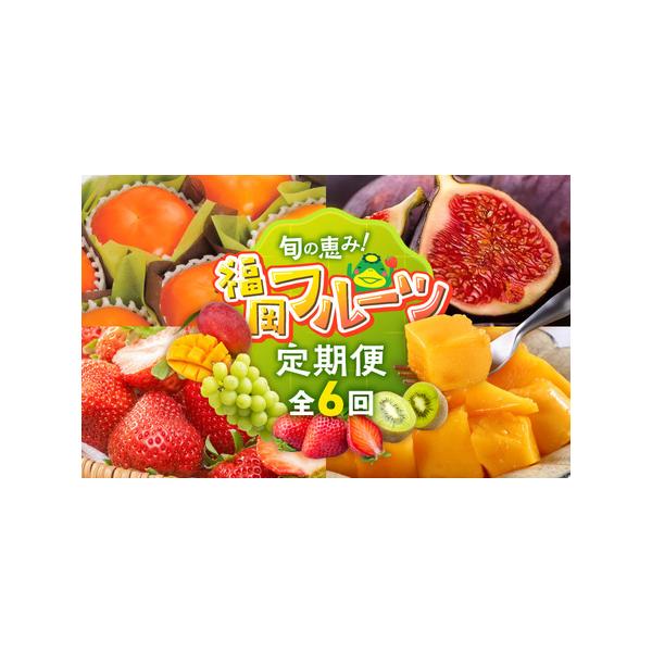 ■ 容量　［7月］くるめで育った完熟マンゴー（2個：約0.9〜1kg）　［8月］シャインマスカット（2房：約1kg）　［9月］特別栽培 ビオレソリエス (黒イチジク) 250g×4パック 計1kg　［10月］甘うぃ(キウイ)　約1.5kg(...