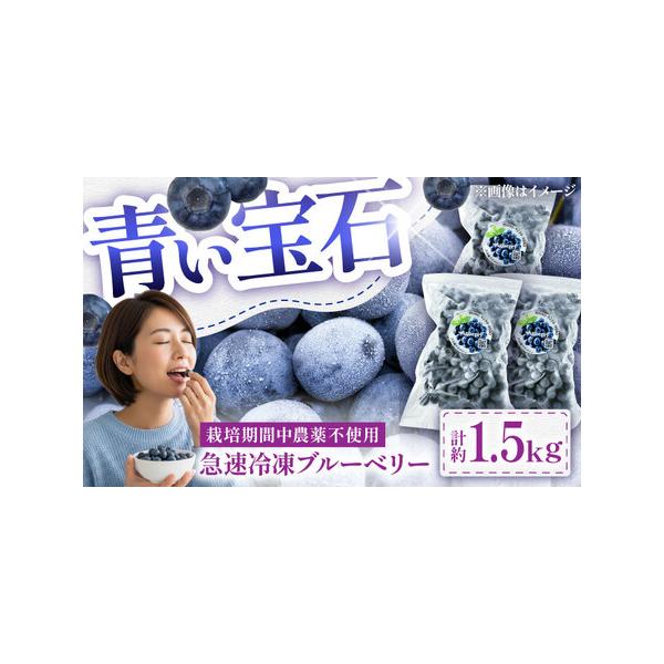 ■ 容量　青い宝石 急速冷凍ブルーベリー計約1.5kg（約500g×3袋）　【加工地】　熊本県菊池郡　■ 配送について　ご入金確認後、2週間以内に発送いたします。　年末年始（12月・1月）は、ご入金確認後、1ヶ月以内に発送いたします。　※天...