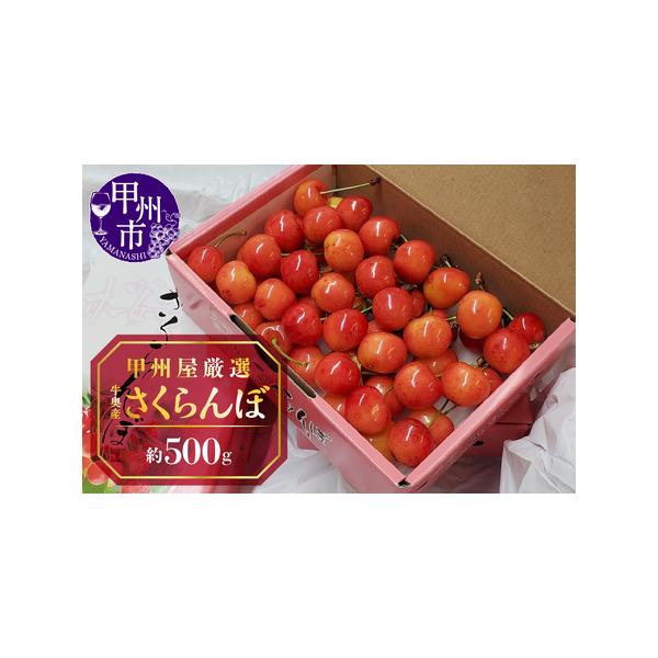 ■ 容量　甲州市牛奥産さくらんぼ 約500g（化粧箱入）　　【申込期日】　2026年6月上旬頃まで　【消費期限】　到着次第、お早めにお召し上がりください。　　【注意事項】　※上記注意事項を必ずご確認ください。　※画像はイメージです。　※収穫...