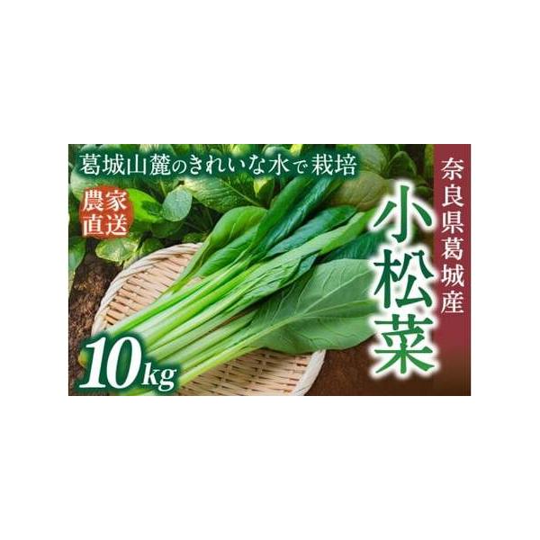 ■ 容量　【容量】　約5kg　　　【賞味期限】　出荷日から約4日間　　【保存方法】　到着後は冷蔵で保存し、できるだけお早めにお召し上がりください。　※お受け取り後、すぐに箱の中身をご確認ください。■ 配送について　ご入金確認後、2週間以内に...