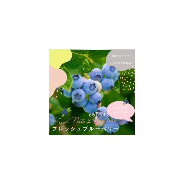 ■ 容量　100ｇ×5パック■ 配送について　2026年7月より、準備出来次第、順次発送致します。　【受付期間】　2025年12月25日〜2026年8月15日　タイプ：【冷蔵】