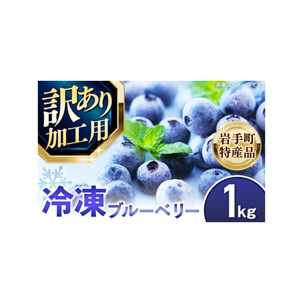 ■ 容量　冷凍ブルーベリー1kg　包装形態：ビニール袋（1kg×1袋）・段ボール■ 配送について　決済から2か月程度で発送　※沖縄県、離島への配送不可のお品となっております。予めご了承ください。　タイプ：【冷凍】