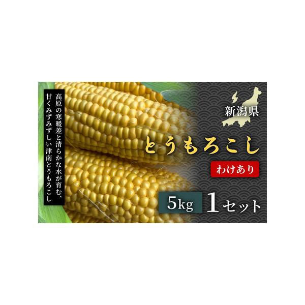 ■ 容量　とうもろこし 5kg (12?15本)　【消費期限】発送日から14日程度　【保存方法】 要冷蔵　タイプ：【冷蔵】
