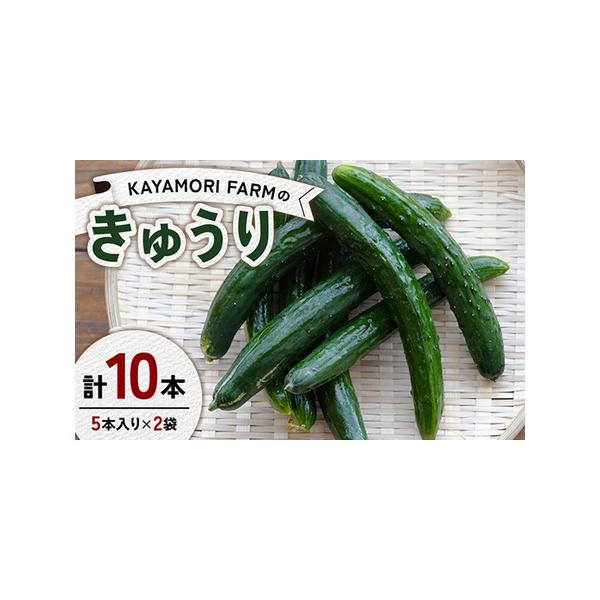 ■ 容量　きゅうり 10本（5本入り×2袋）■ 配送について　2026年7月初旬〜2026年8月中旬に順次発送　タイプ：【冷蔵】